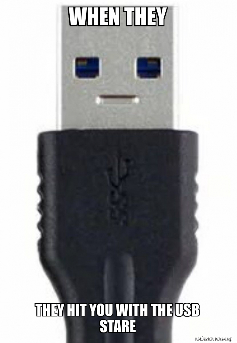 WHEN THEY THEY HIT YOU WITH THE USB STARE Meme Generator
