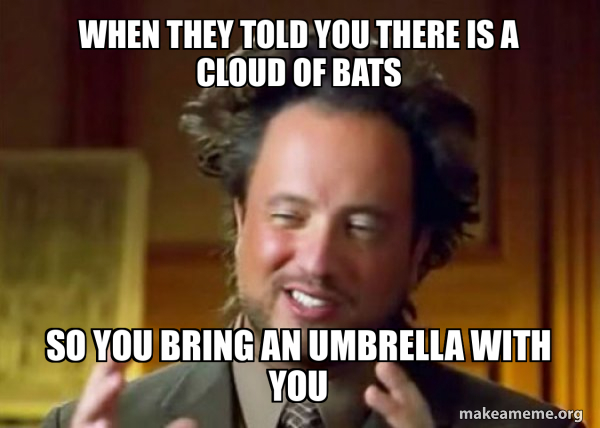 When they told you there is a cloud of bats so you bring an umbrella ...