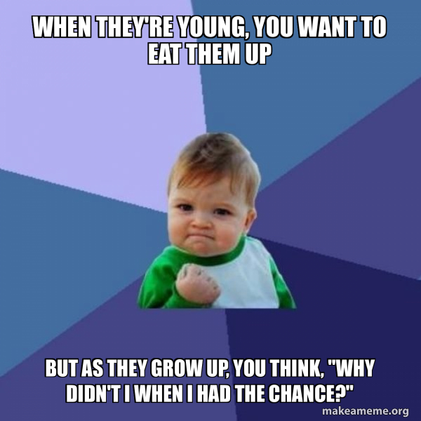 When they're young, you want to eat them up but as they grow up, you ...