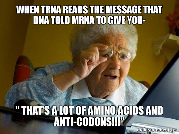 When tRNA reads the message that Dna told mRNA to give you- " That's a ...