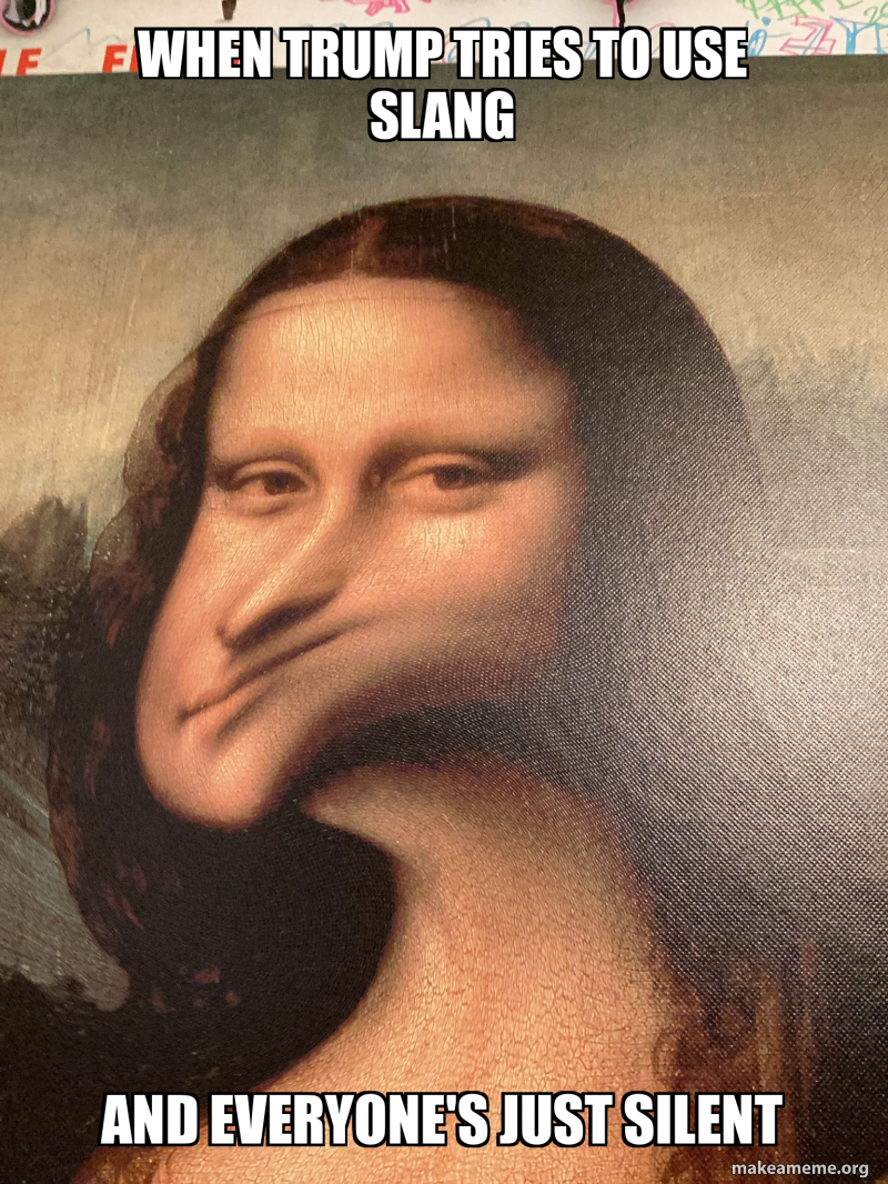 When Trump tries to use slang And everyone's just silent Meme Generator