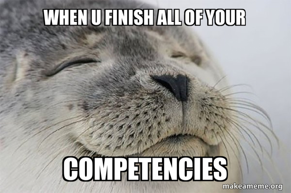 when u finish all of your competencies - Satisfied Seal Meme Generator