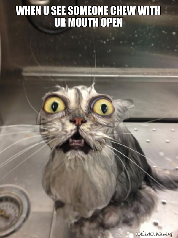 when u see someone chew with ur mouth open - Cat bath Meme Generator