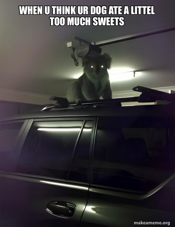 when u think ur dog ate a littel too much sweets - Drop Bear Meme Generator