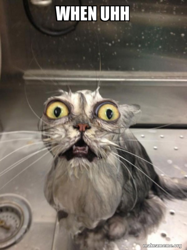when uhh - Cat bath Meme Generator
