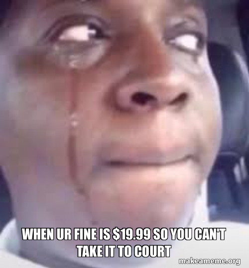 WHEN UR FINE IS $19.99 so YOU CAN'T take it to COURT Meme Generator