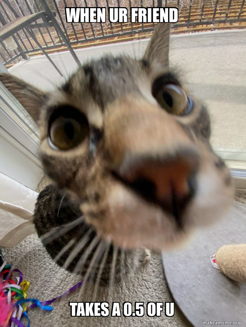 When ur friend takes a 0.5 of u Meme Generator