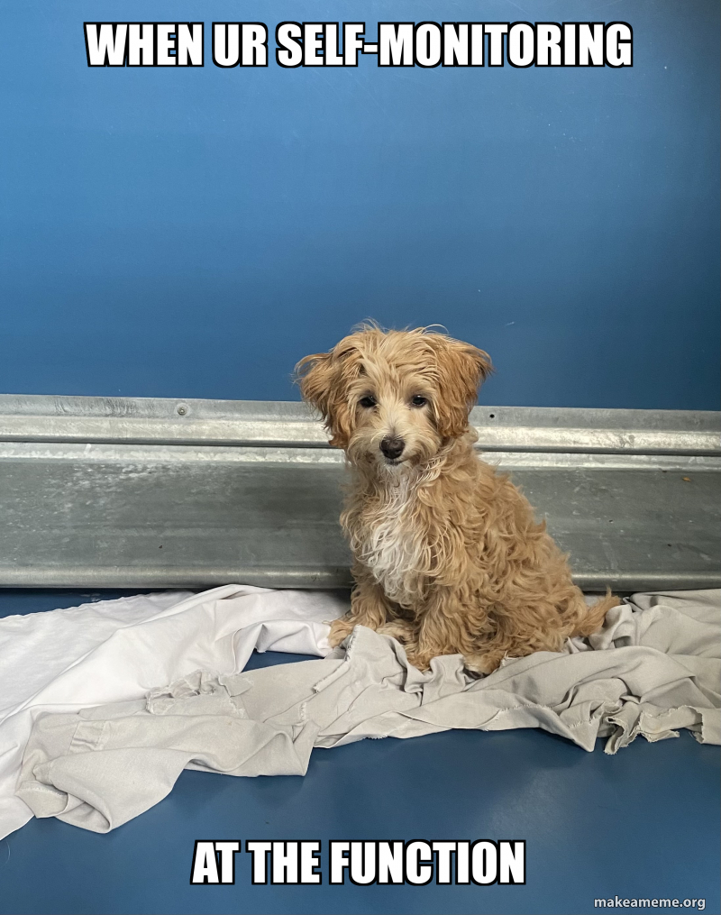 when ur self-monitoring at the function Meme Generator