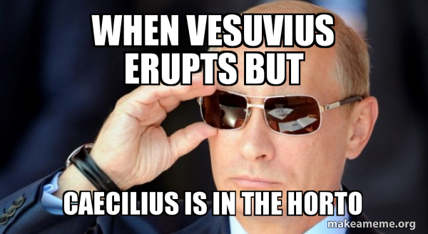 When Vesuvius Erupts But Caecilius Is In The Horto Vladamir Putin