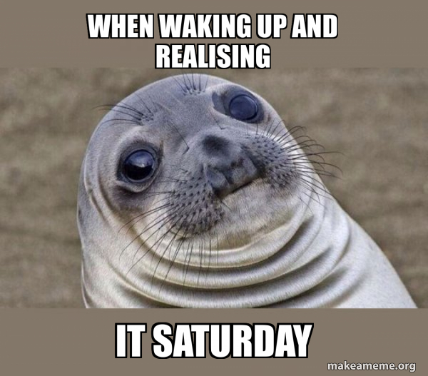 When waking up and realising It saturday - Squeamish Seal Meme Generator