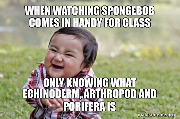 When watching SpongeBob comes in handy for class Only knowing what ...
