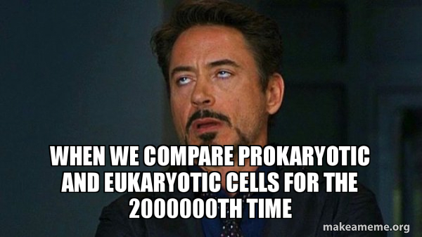when we compare prokaryotic and eukaryotic cells for the 2000000th time ...