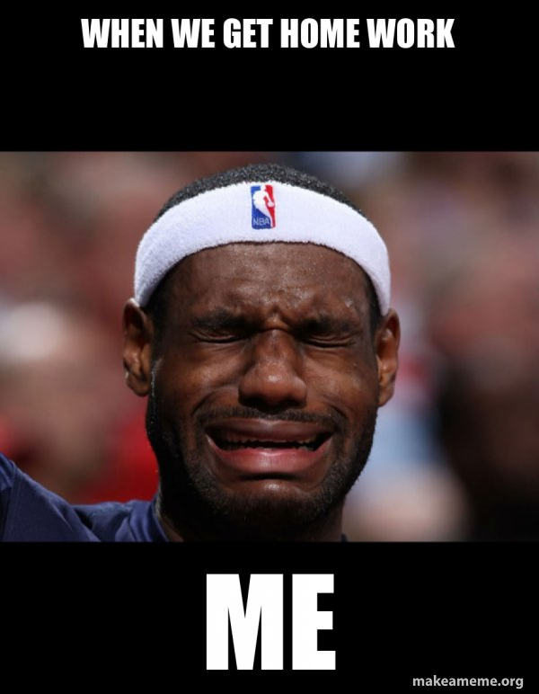 When we get home work me - Lebron Crying Meme Generator