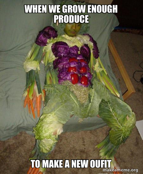 When we grow enough produce To make a new oufit Meme Generator