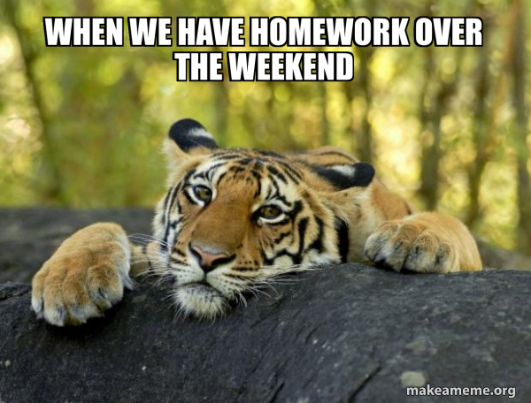when we have homework over the weekend - Confession Tiger Meme Generator