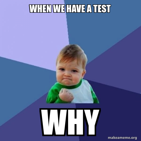 When we have a test WHY - Success Kid | Make a Meme