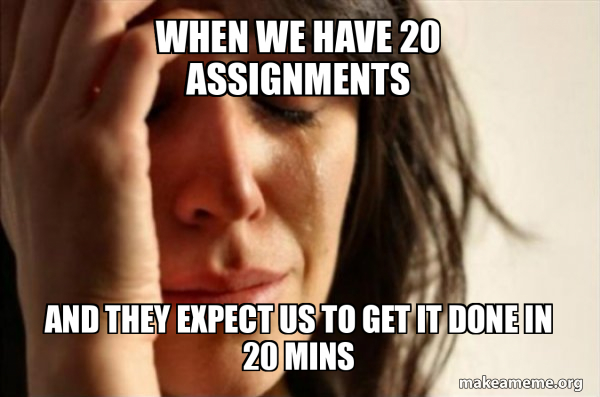 when we have 20 assignments and they expect us to get it done in 20 ...