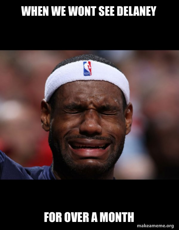 When we wont see delaney for over a month - Lebron Crying Meme Generator