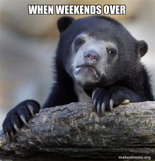 when weekends over - Confession Bear Meme Generator