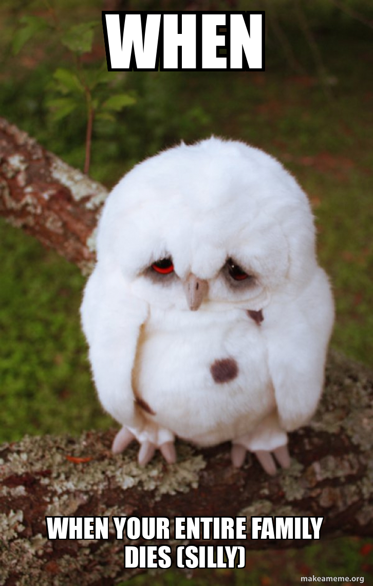 When When your entire family dies (silly) - Sad Owl Meme Generator
