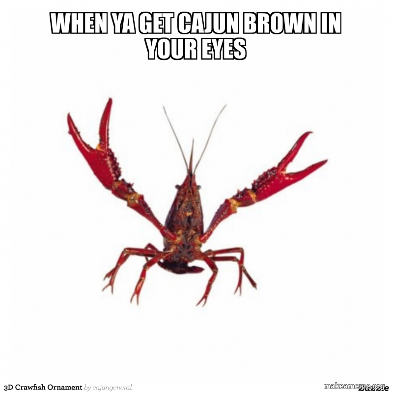 When ya get Cajun brown in your eyes Meme Generator