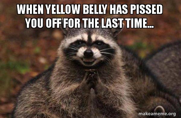 Yellow Belly Memes DG MEME +++ Ryanair Introduced The Oversized