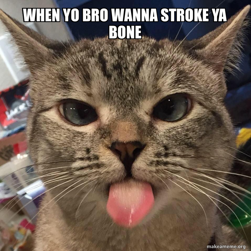 when yo bro wanna stroke ya bone Meme Generator
