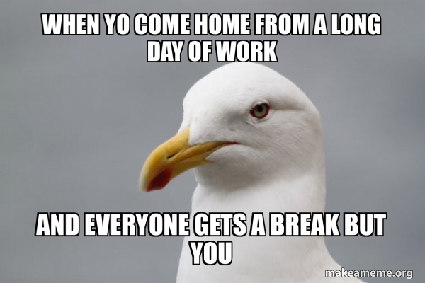 when yo come home from a long day of work and everyone gets a break but ...