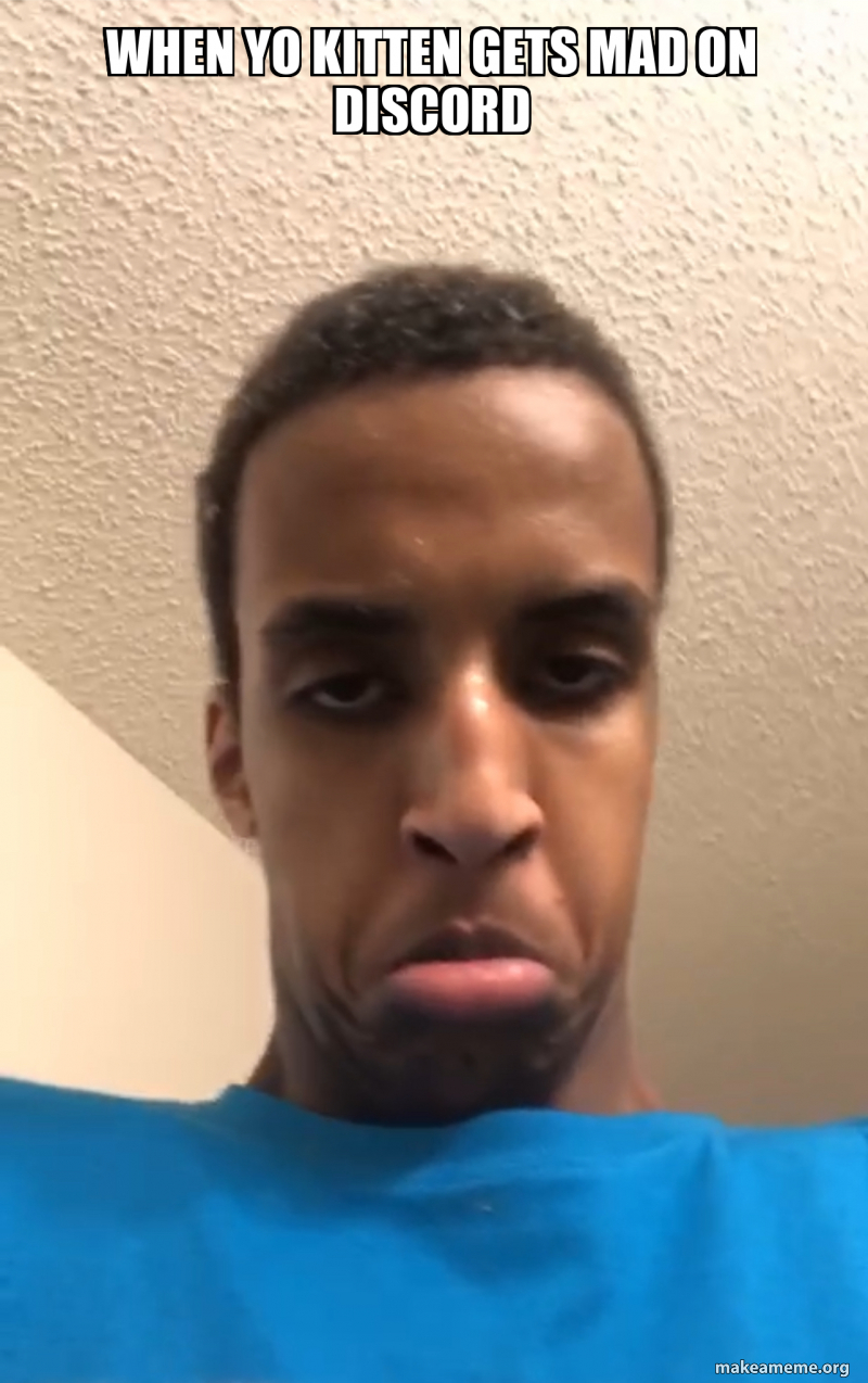 When yo kitten gets mad on discord Meme Generator