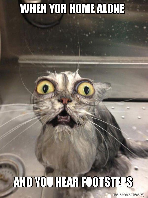 when yor home alone and you hear footsteps - Cat bath Meme Generator