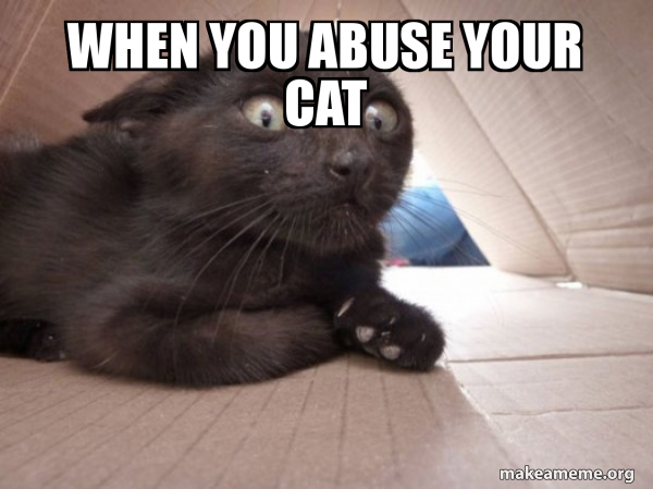 when you abuse your cat - Schitzo Cat Meme Generator