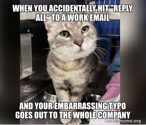 When you accidentally hit "Reply All" to a work email and your ...