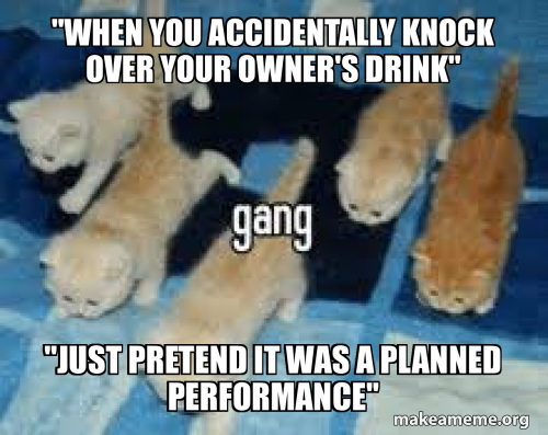 "When you accidentally knock over your owner's drink" "Just pretend it ...