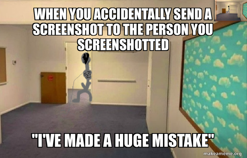 When you accidentally send a screenshot to the person you screenshotted ...