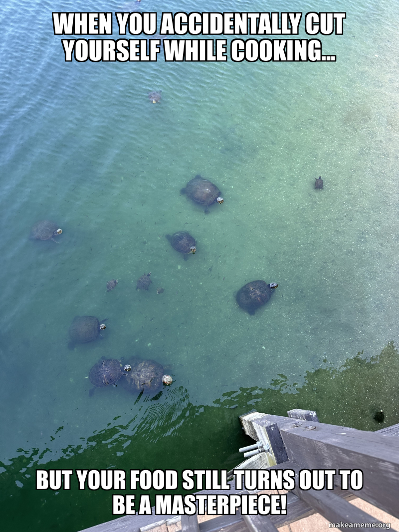 When you accidentally cut yourself while cooking... But your food still ...