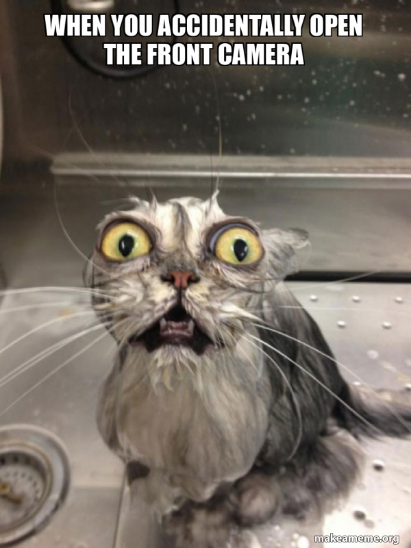 When you accidentally open the front camera - Cat bath Meme Generator