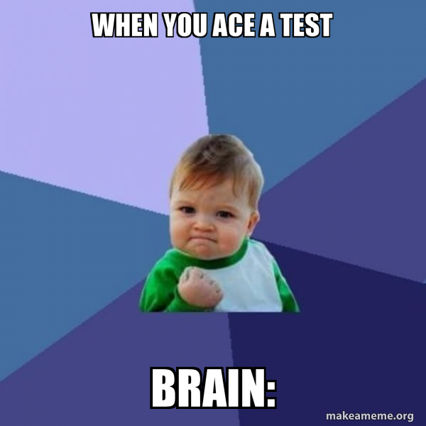 When you ace a test Brain: - Success Kid Meme Generator