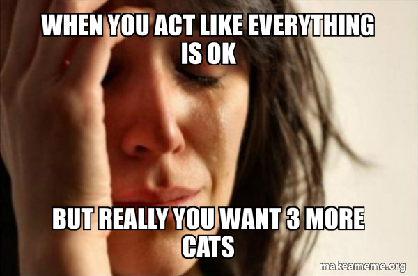 When you act like everything is ok But really you want 3 more cats ...