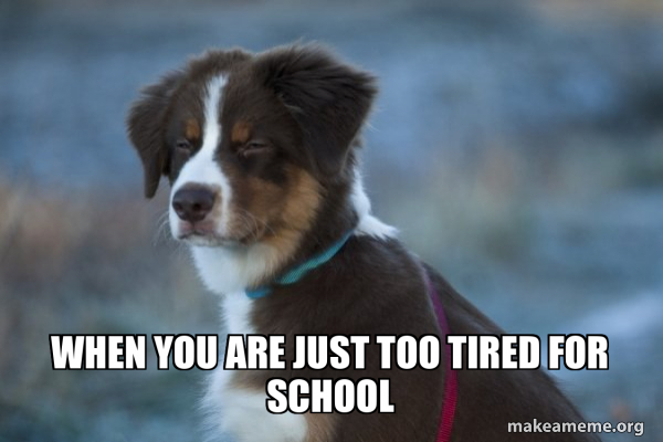 when you are just too tired for school - Unsure Dog Meme Generator