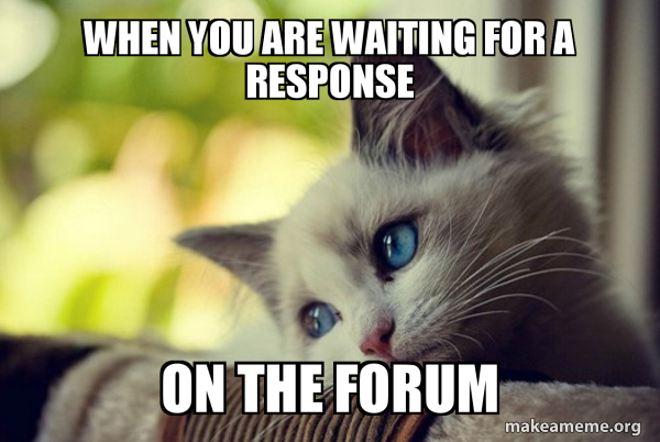 When you are waiting for a response on the forum - First World Cat ...