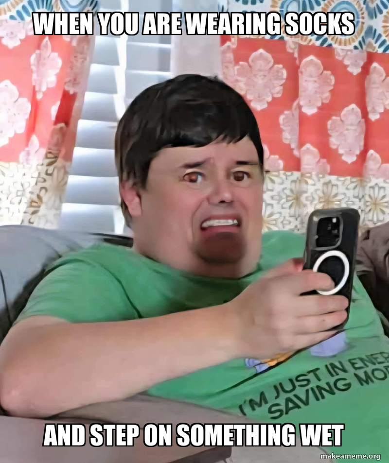 When you are wearing socks And step on something wet Meme Generator