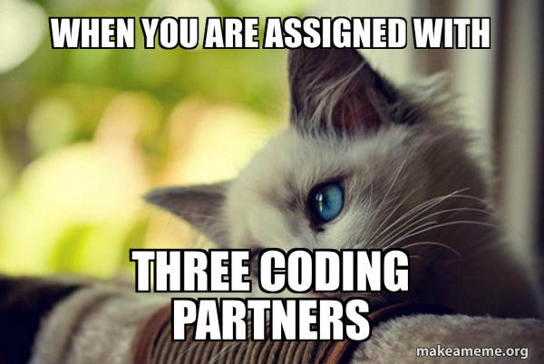 when you are assigned with three coding partners - First World Cat ...
