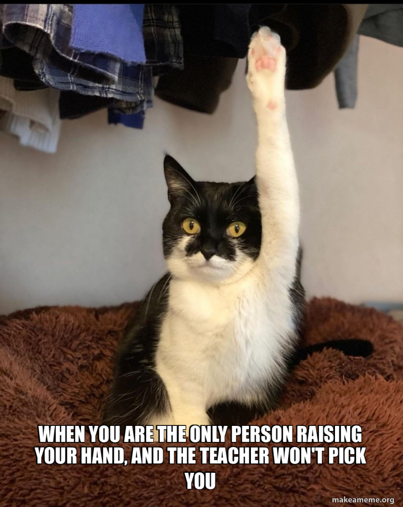 when you are the only person raising your hand, and the teacher won't ...