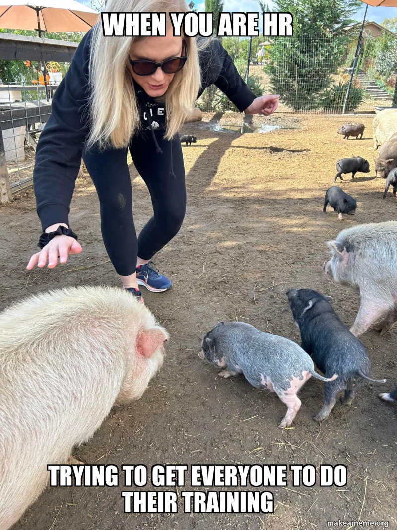 When you are Hr Trying to get everyone to do their training Meme Generator