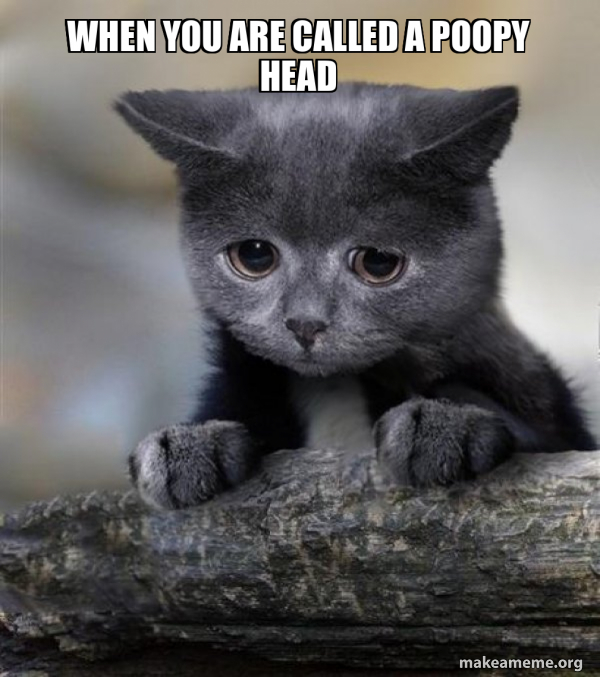 When you are called a poopy head - Confession Cat Meme Generator
