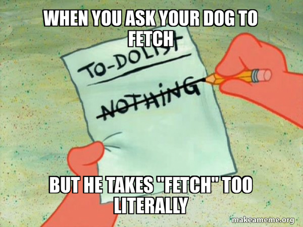 When you ask your dog to fetch But he takes "fetch" too literally - TO ...