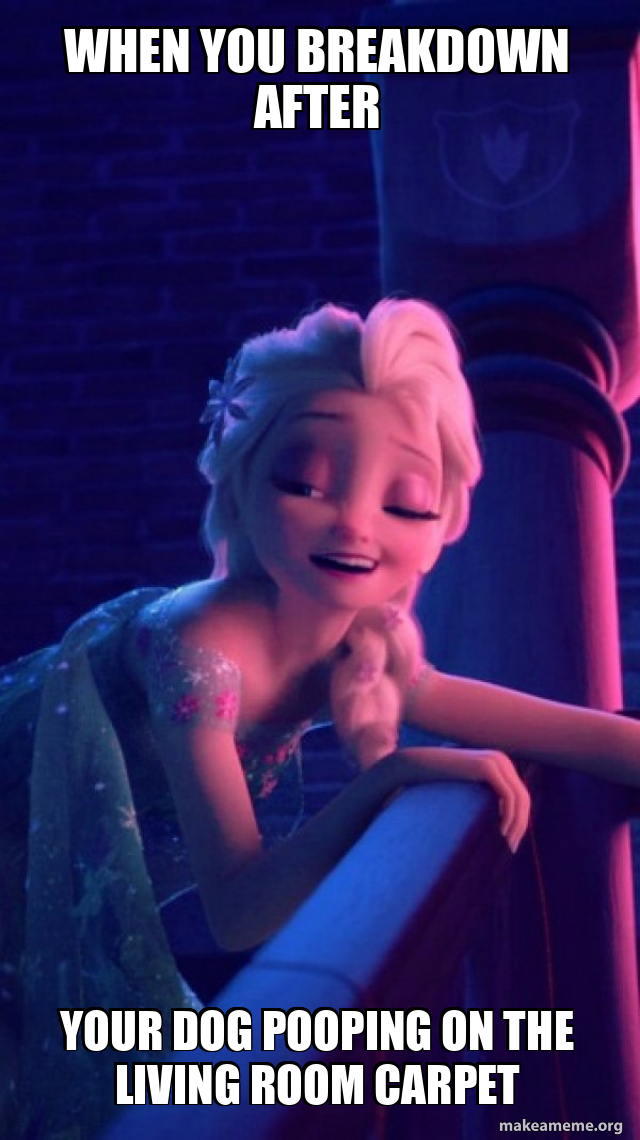 When You Breakdown after your dog pooping on the living room carpet ...