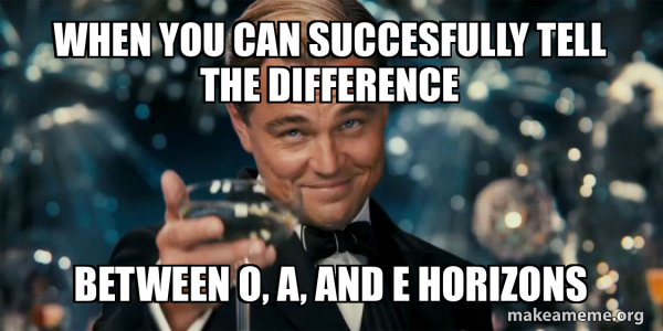 When you can succesfully tell the difference between O, A, and E ...