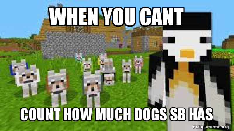 when you cant count how much dogs sb has - SB737 Meme Generator