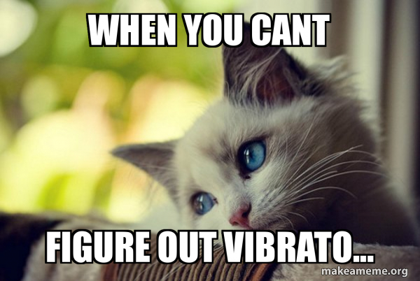 When you cant Figure out vibrato... - First World Cat Problems Meme ...